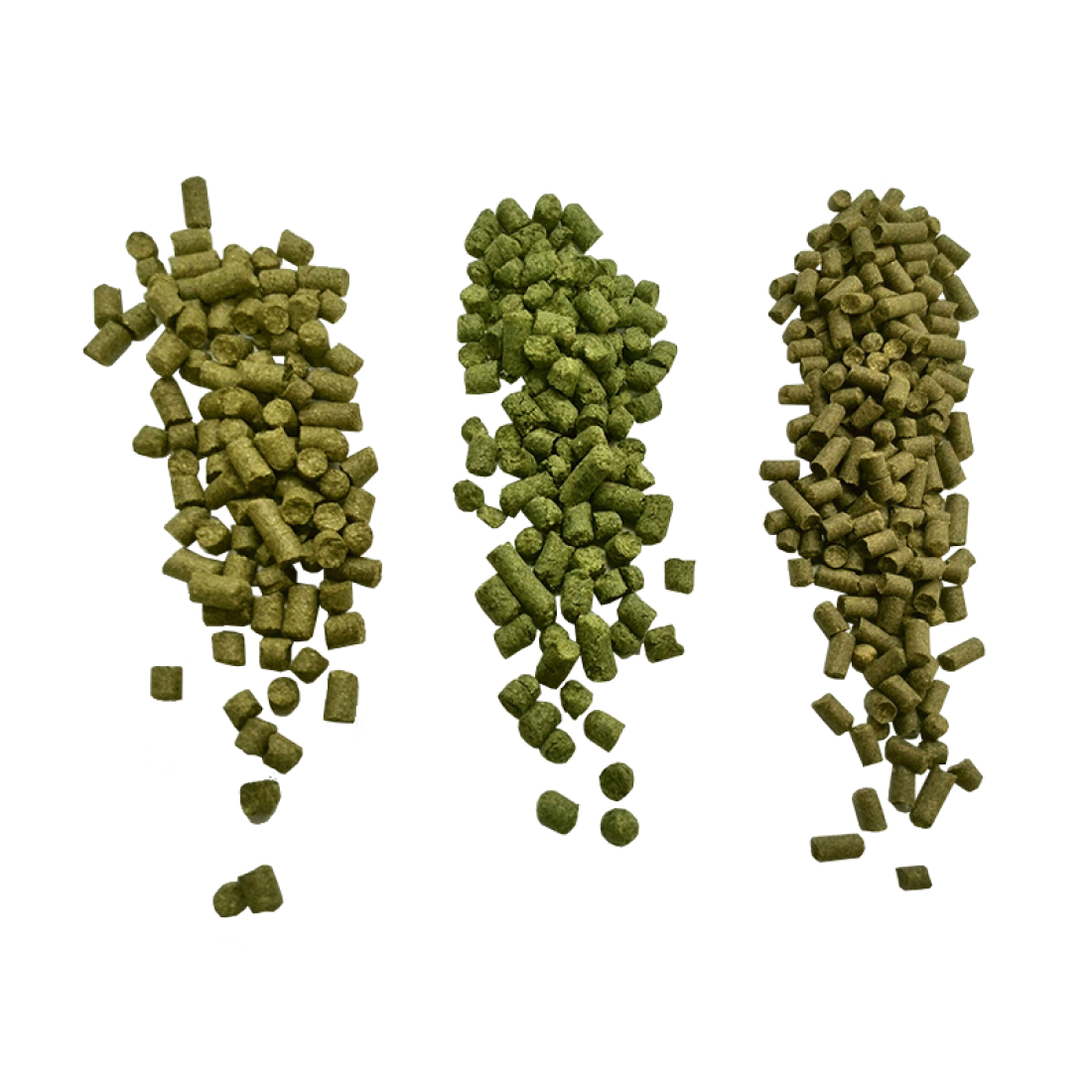 Goldings Hop Pellets (uk) - Vacuum Pack - 100g - The Homebrew Centre