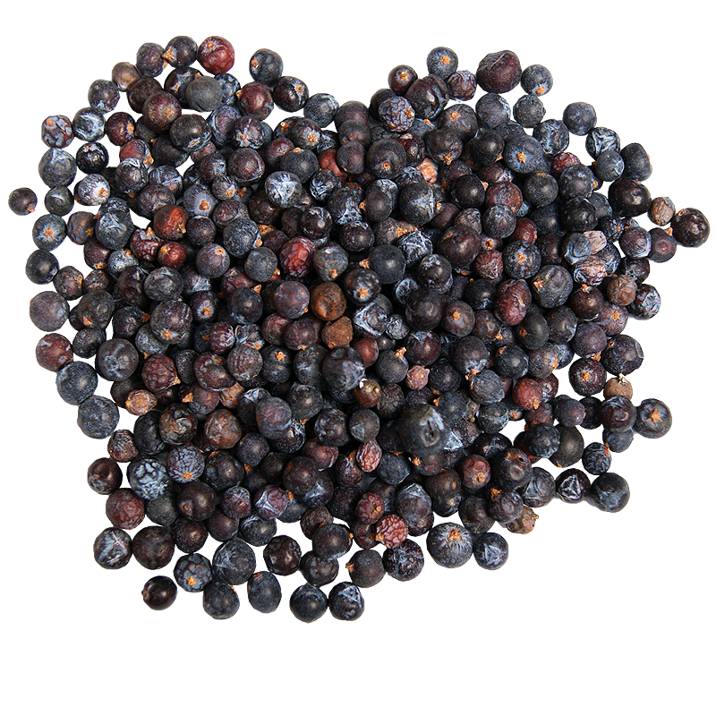 dried juniper berries